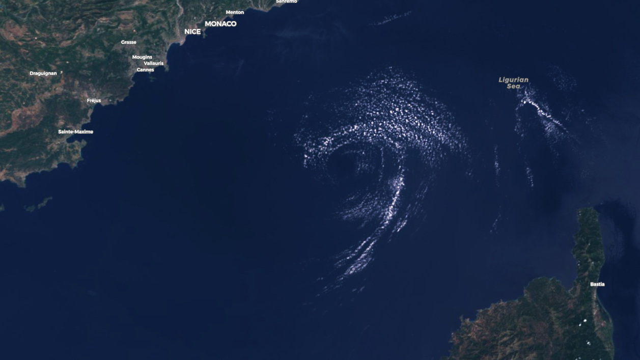 Quantifying the impact of linear regression model in deriving bio ...