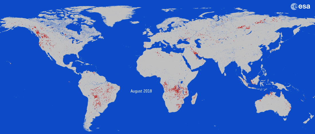 Global fires in 2019 - eo science for society