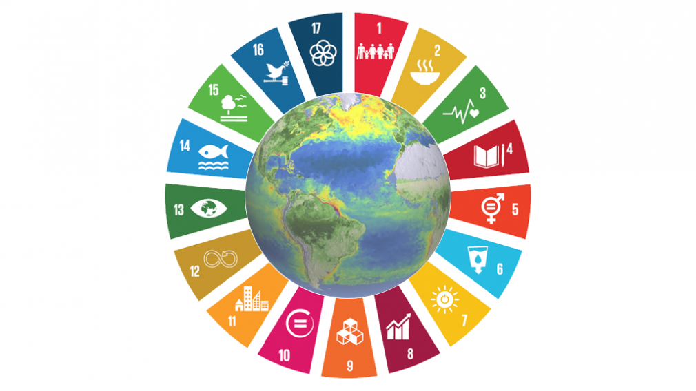 RUS Environment Demo: Copernicus for Sustainable Development Goals ...