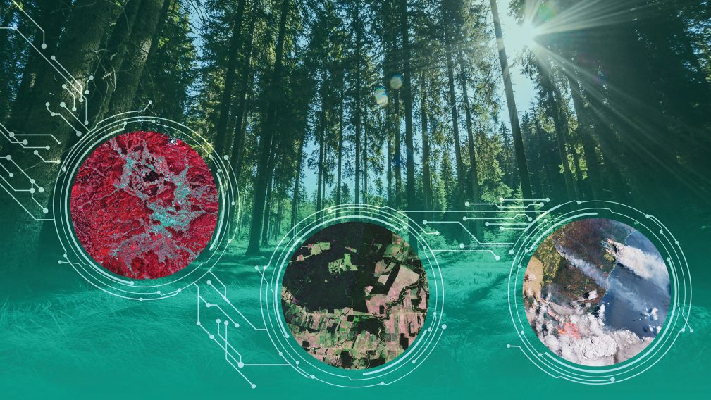 10th ESA Advanced Training Course on Land Remote Sensing 2021 - eo ...