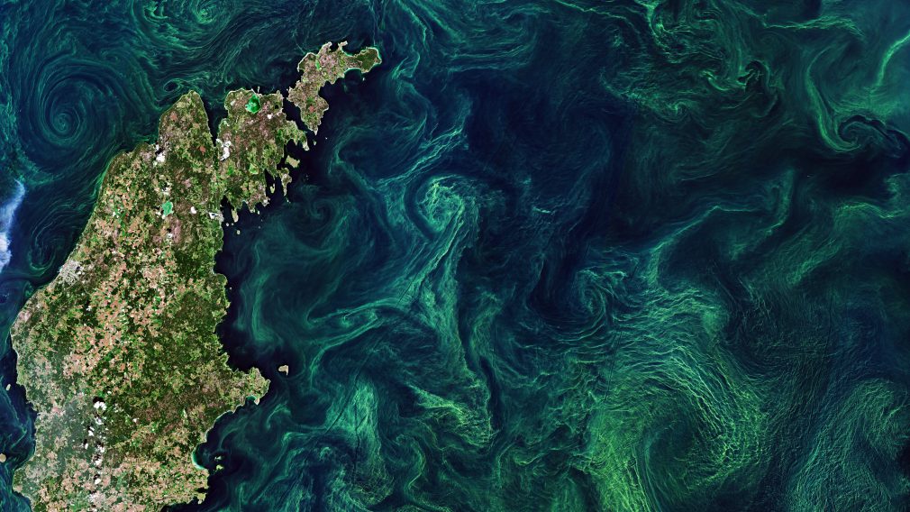 20-year time-series of global primary production in the oceans - eo ...