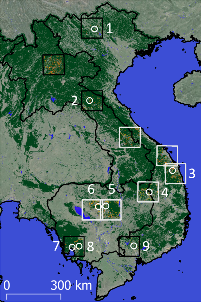 SENTINEL-1 FOR OBSERVING FORESTS IN THE TROPICS (SOFT) - eo science for ...