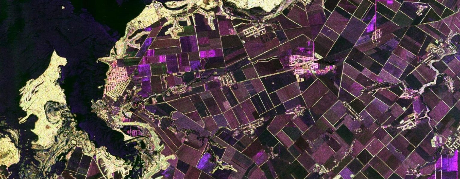 Agricultural Crop Classification with Synthetic Aperture Radar and ...