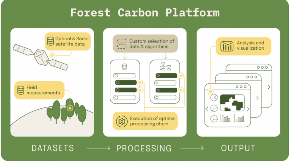 Forest Carbon Monitoring - eo science for society