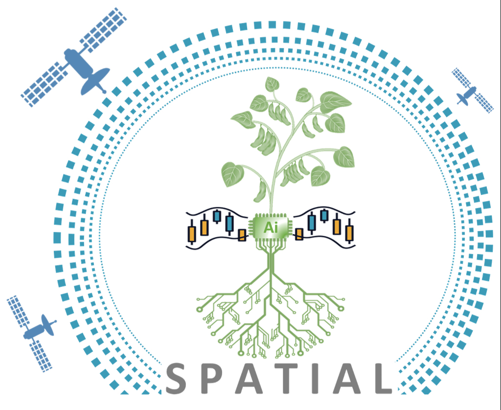 SPATIAL - Soybean Price forecAsting based on saTellite-derIved services ...