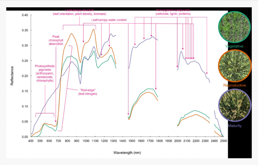 Eoafrica Webinar Fpar As A Proxy For Yield Estimation Forecasting Eo
