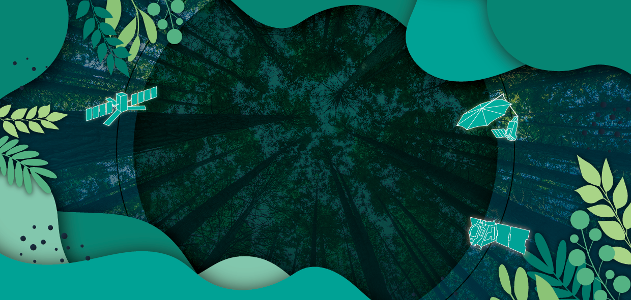 New carbon and water cycles model boosts EO data assimilation - eo ...